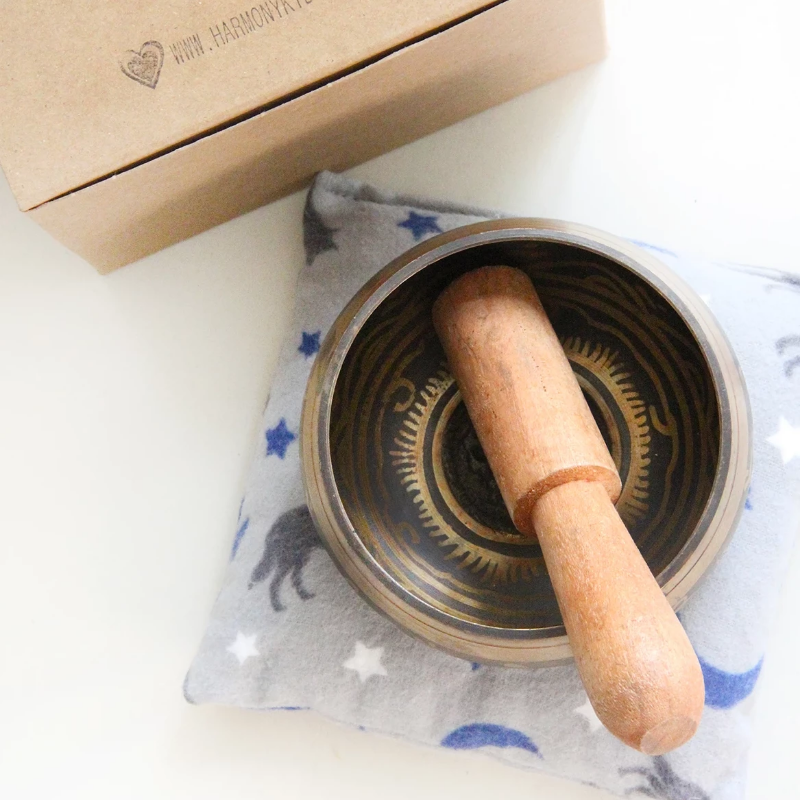 The Singing Bowl Kit & Online Course – The Harmony Kids Co